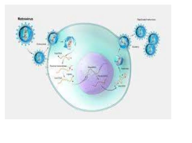 antiviral.pptx antiviral drug act on virus | PPTX