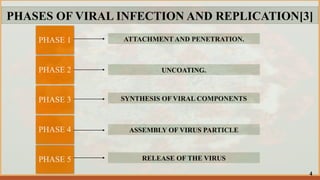 Brief Pharmacology of Anti viral drugs.pptx
