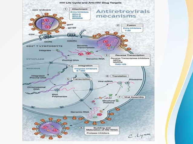 Antiviral agents history, classification,mechanism of action and ...