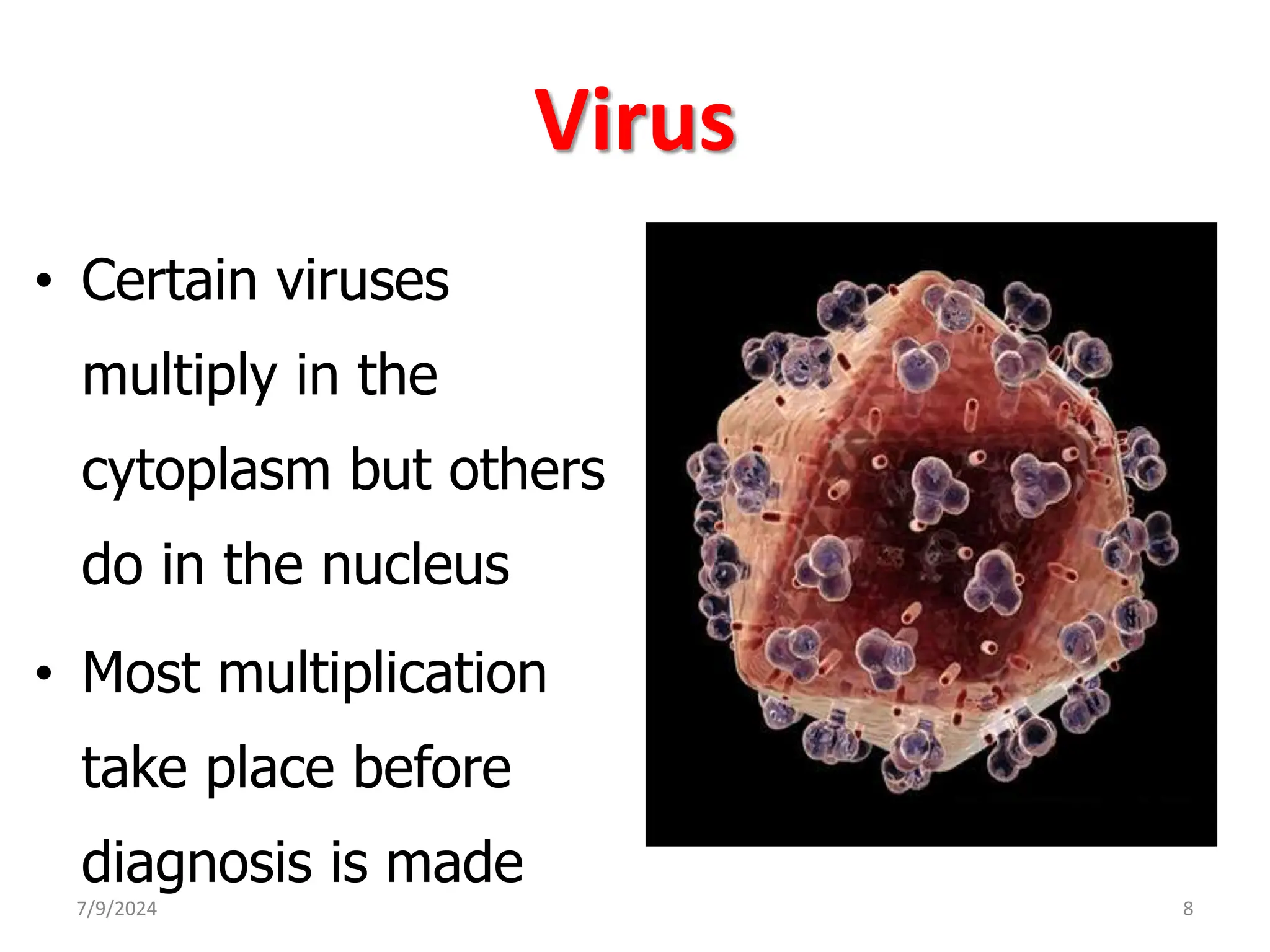 Antiviral Agents.pptx A virus is a small infectious agent that ...
