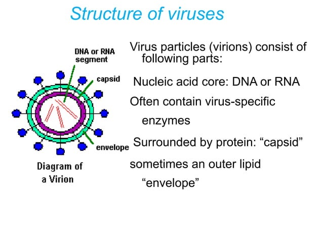 Antiviral Agents.pptx A virus is a small infectious agent that ...
