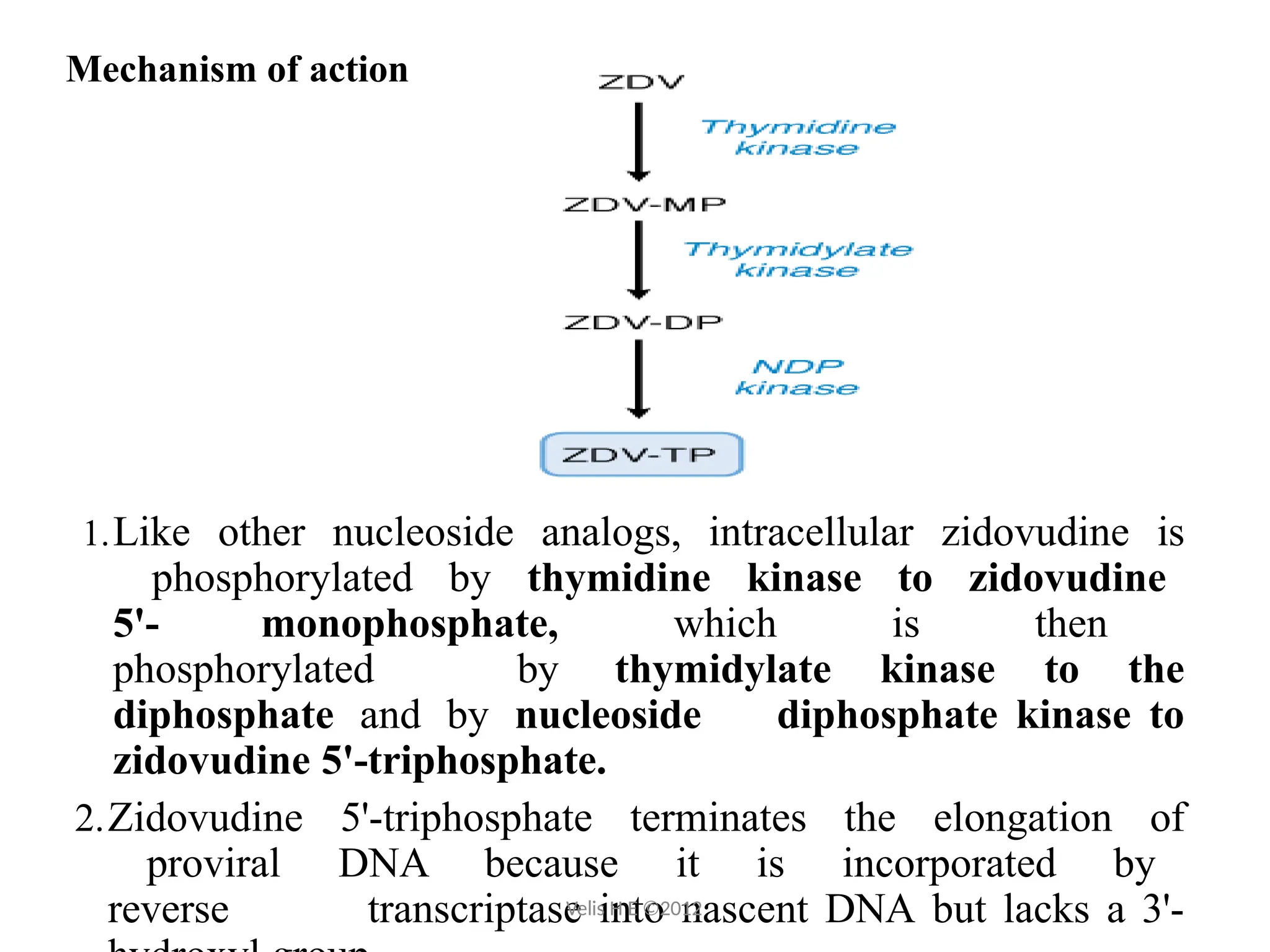 Antiviral drug mechanisms target different stages of the viral life ...