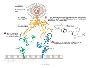 Antiviral drug mechanisms target different stages of the viral life ...
