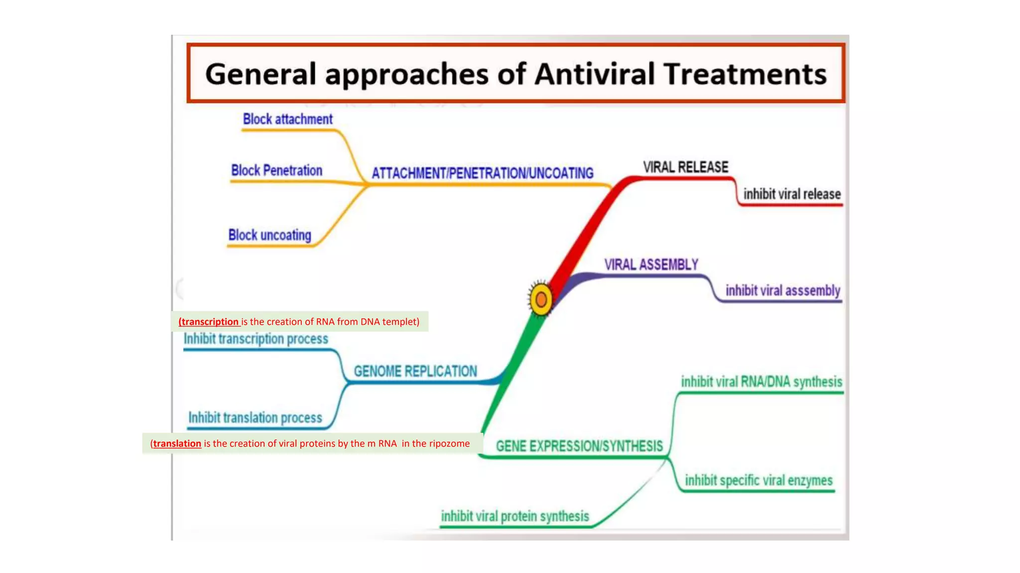 Antiviral Agents(R1).pptx