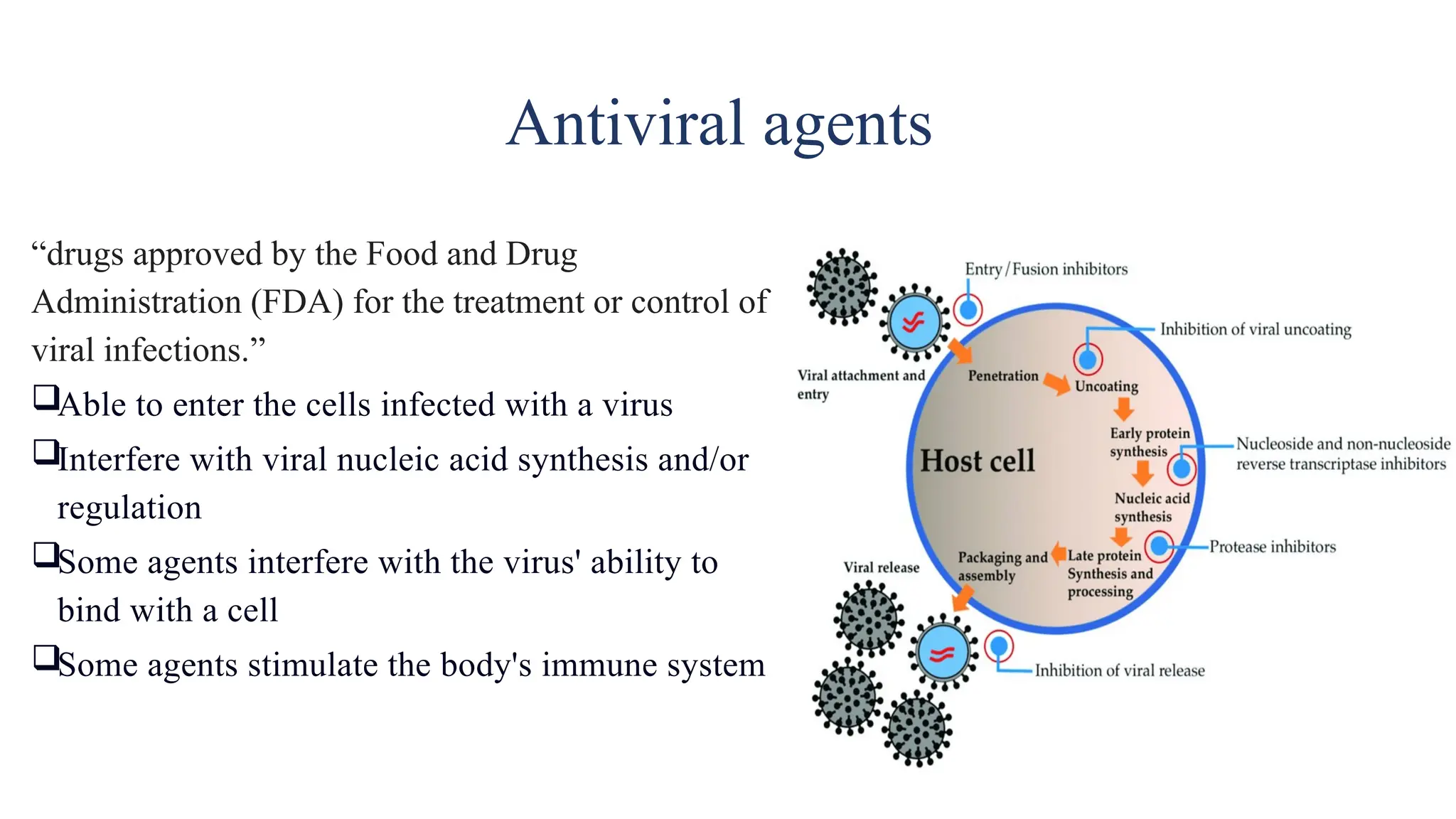 Antiviral agents their targets and mode of actions.pptx