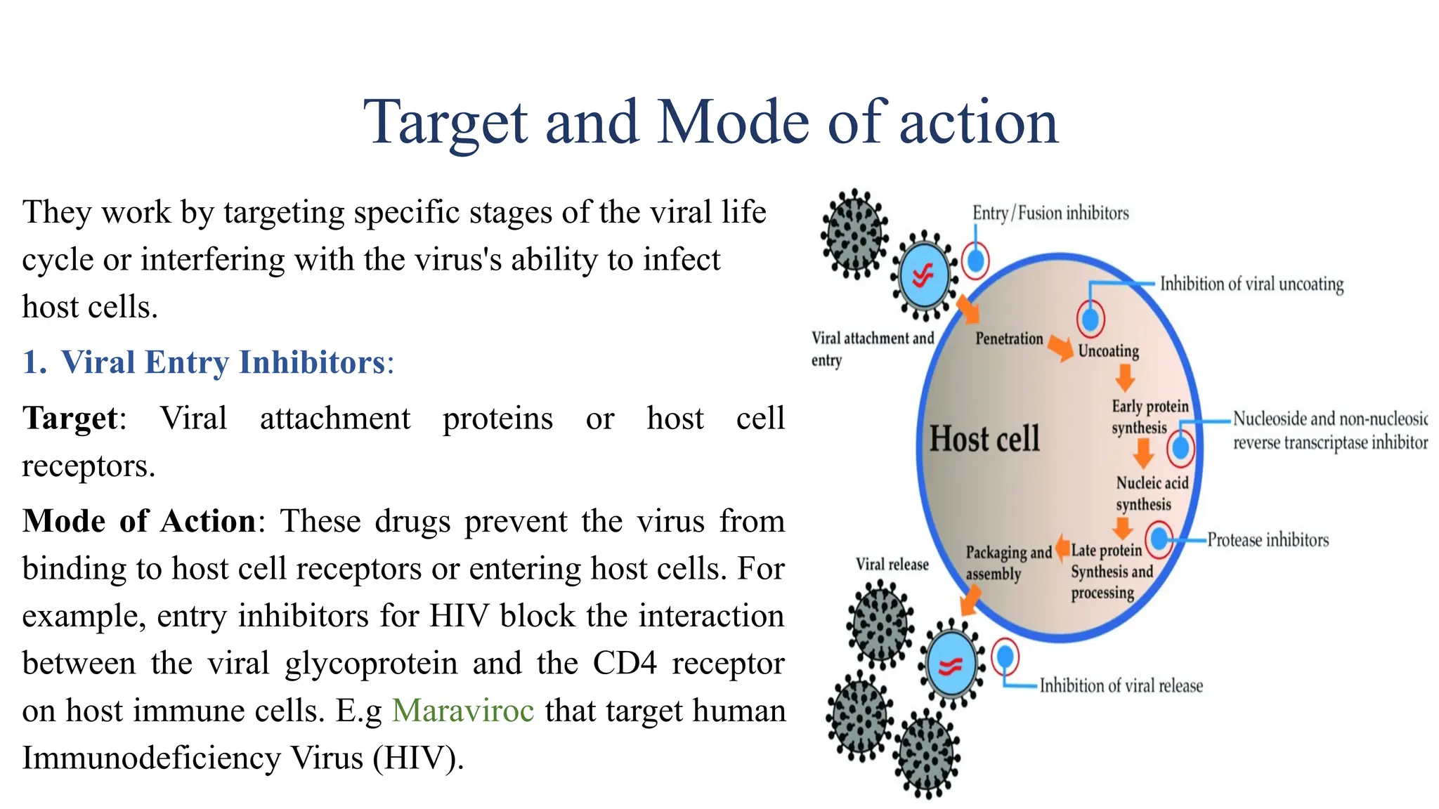 Antiviral agents their targets and mode of actions.pptx