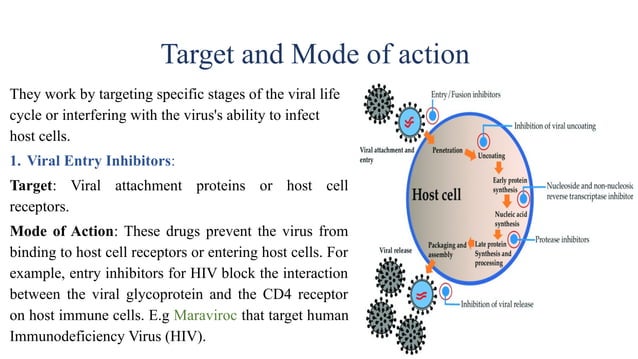 Antiviral agents their targets and mode of actions.pptx