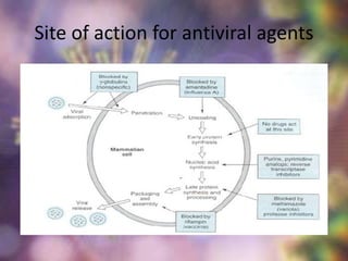 Anti viral basics | PPT