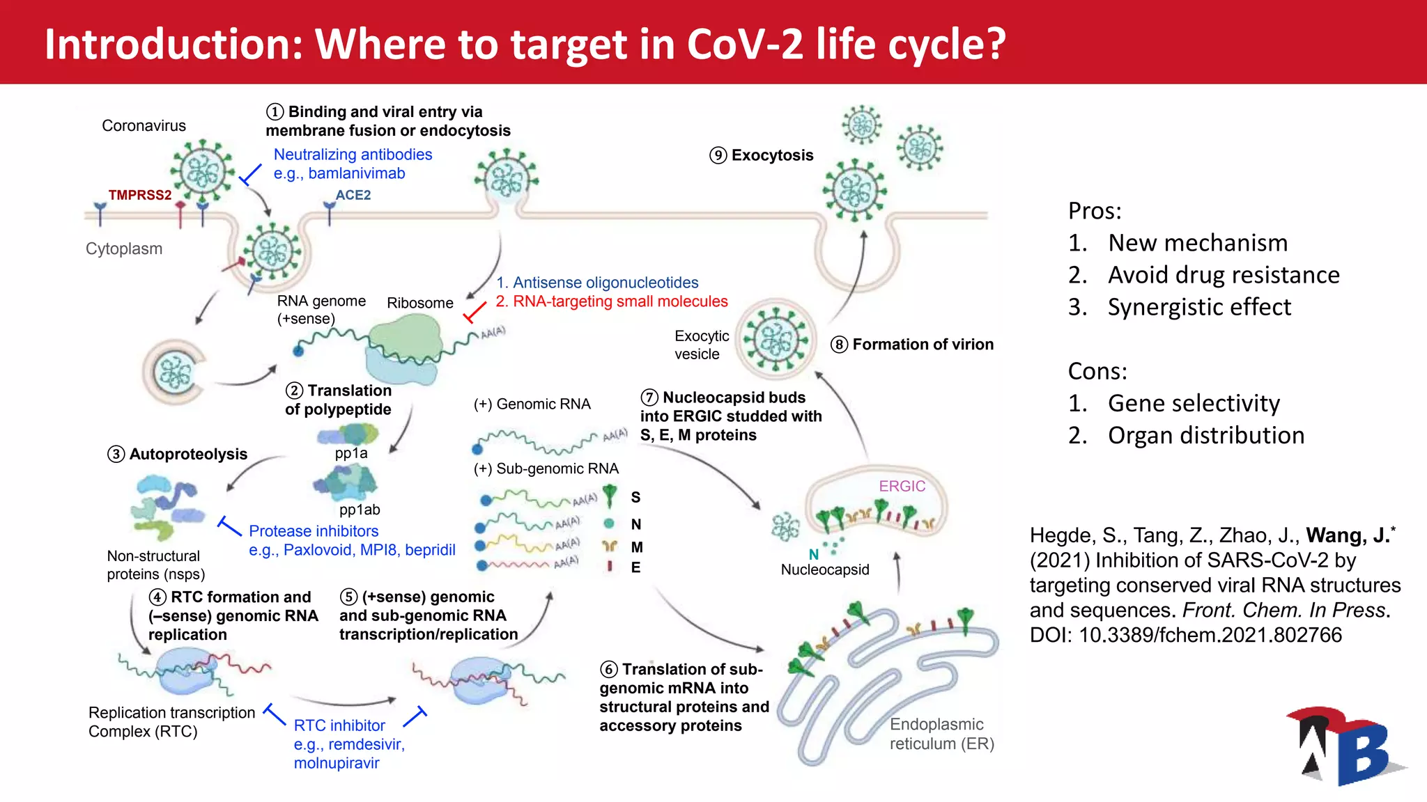 Antiviral Compounds Against SARS-COV-2 | PPT