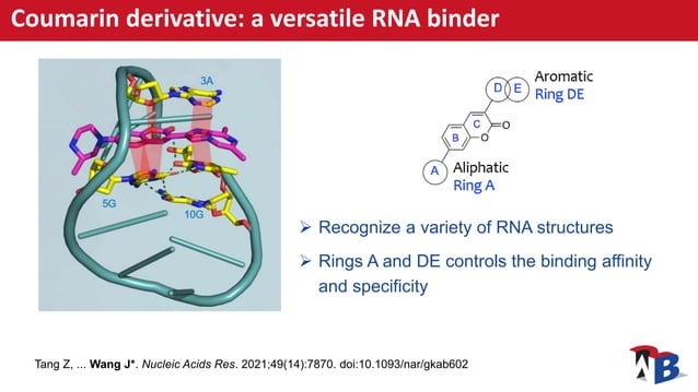 Antiviral Compounds Against SARS-COV-2 | PPT