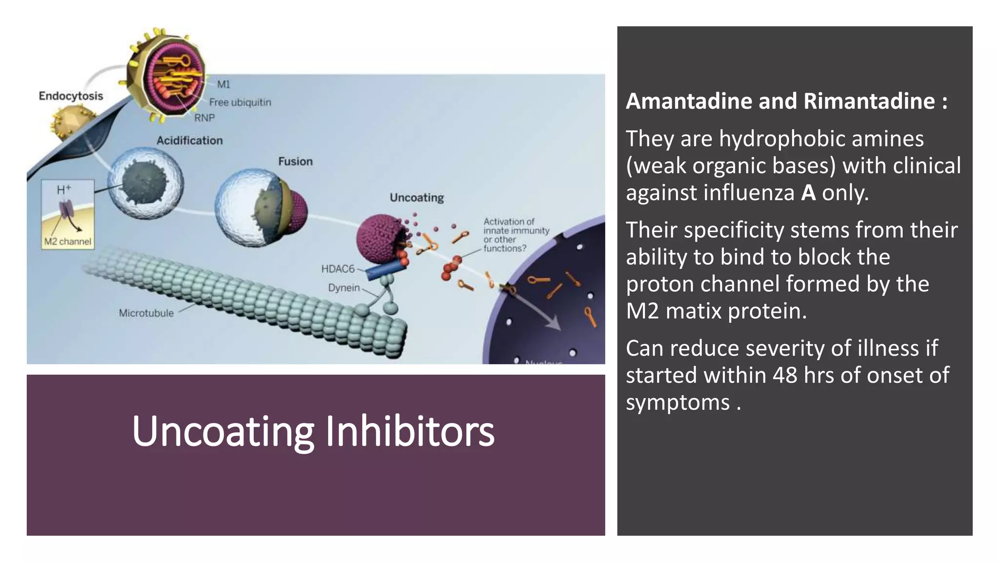 medicinal chemistry of Antiviral drugs | PPTX