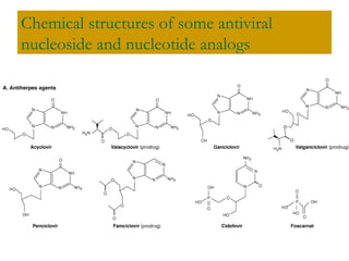 Antiviral drugs.ppt