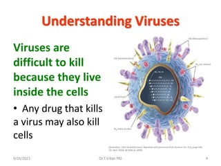 Antiviral Drugs.ppt