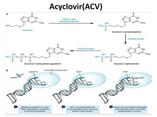 Antiviral Drugs and their mechanism of action | PDF