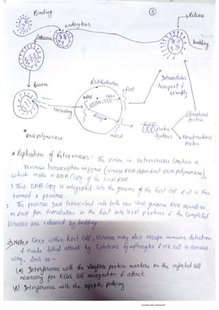 Antiviral notes | PDF