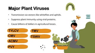 Antiviral plant Production: Analysis of Transgene Integration and ...