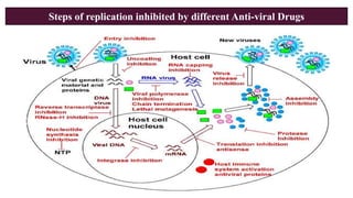 Antiviral Drugs & MOA Presentation .pptx