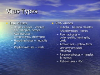 Antivirals Antiprotozoals | PPT