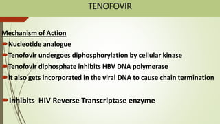 antivirals 2 (1).pptx