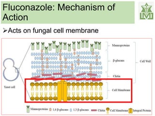 Antivirals and antifungals | PPT