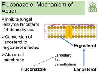 Antivirals and antifungals | PPT