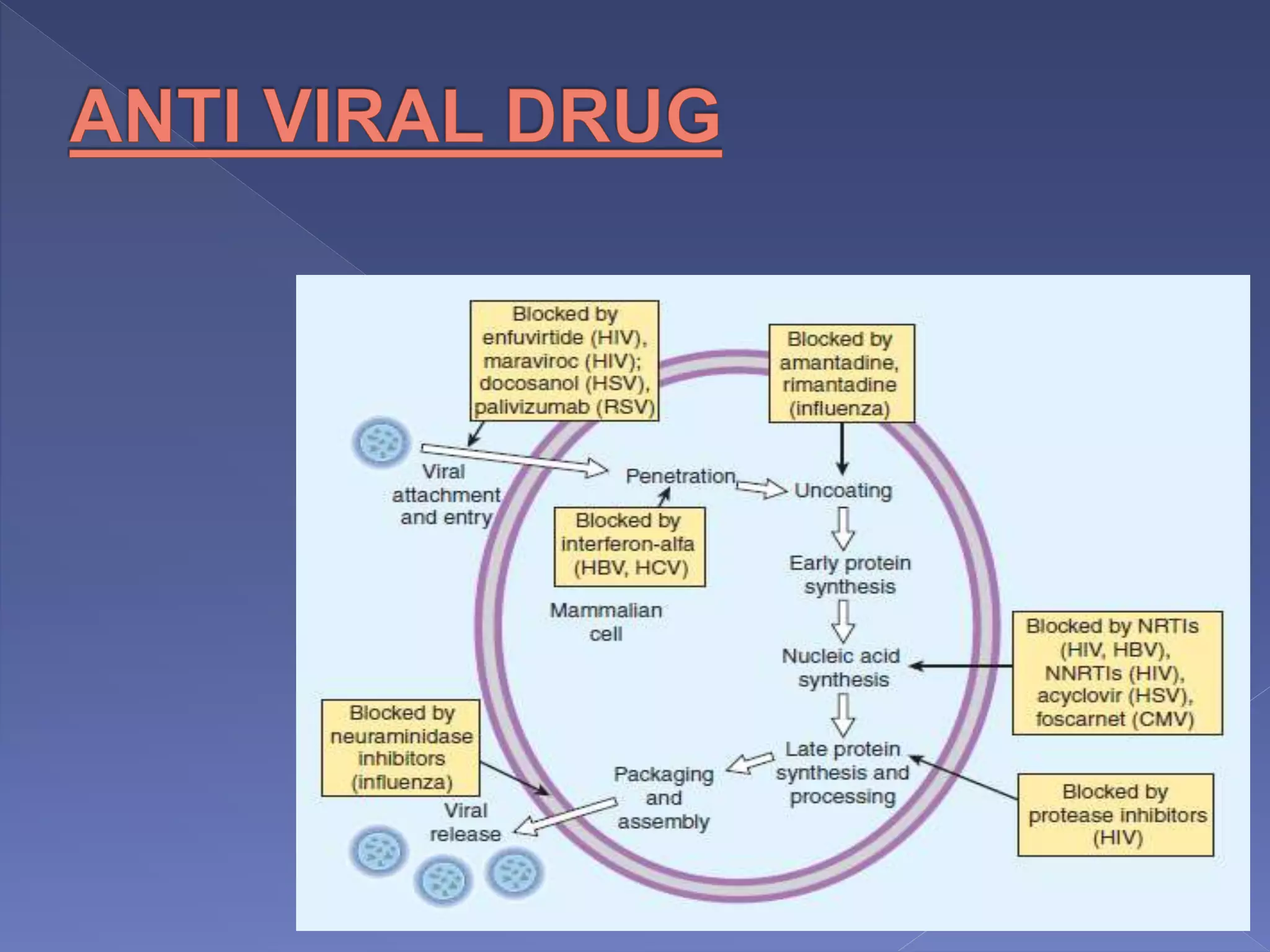 Pharmacology of Anti-viral drugs | PPTX