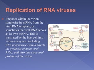 Pharmacology of Anti-viral drugs | PPTX