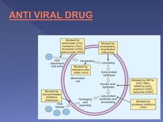 Pharmacology of Anti-viral drugs | PPTX