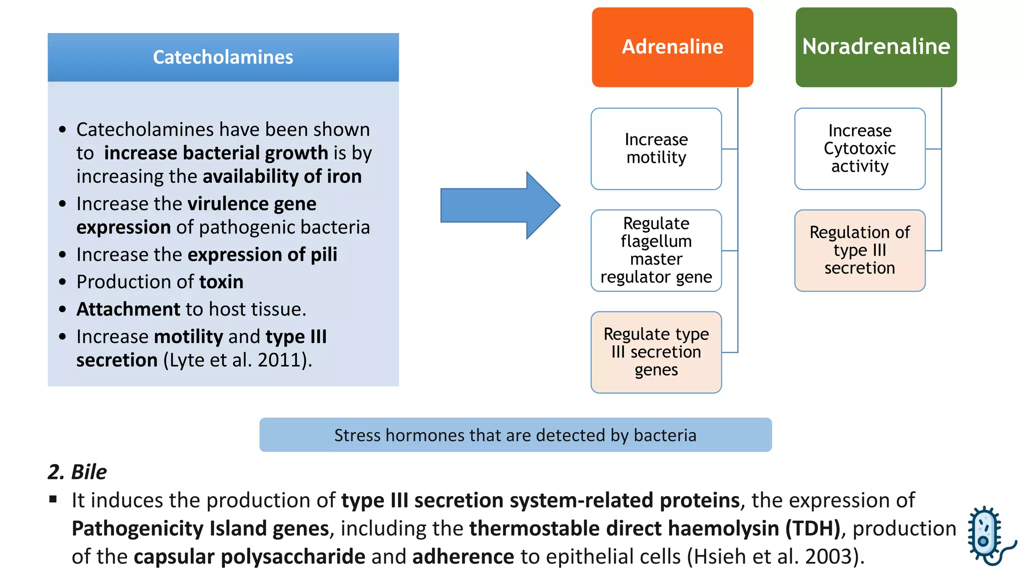Antivirulence therapy - As an alternative to antibiotics ??? | PPT