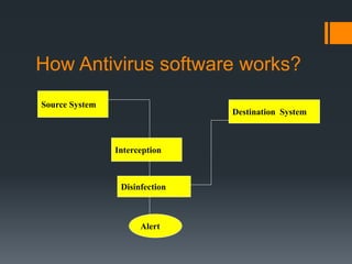 Virus and Anti Virus - Types of Virus and Anti Virus | PPTX