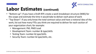 Antix Consulting Capture Plan Template | PPTX