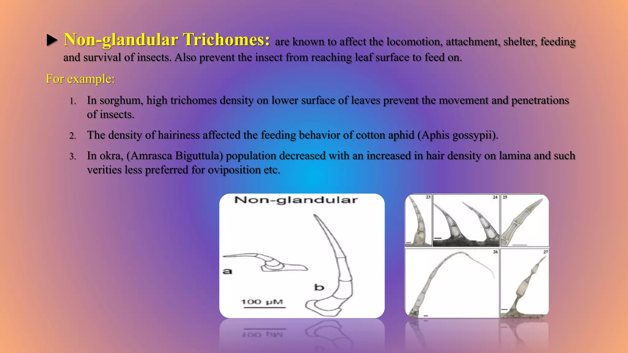 what is Antixenosis, Antibiosis, and Tolerance.pptx