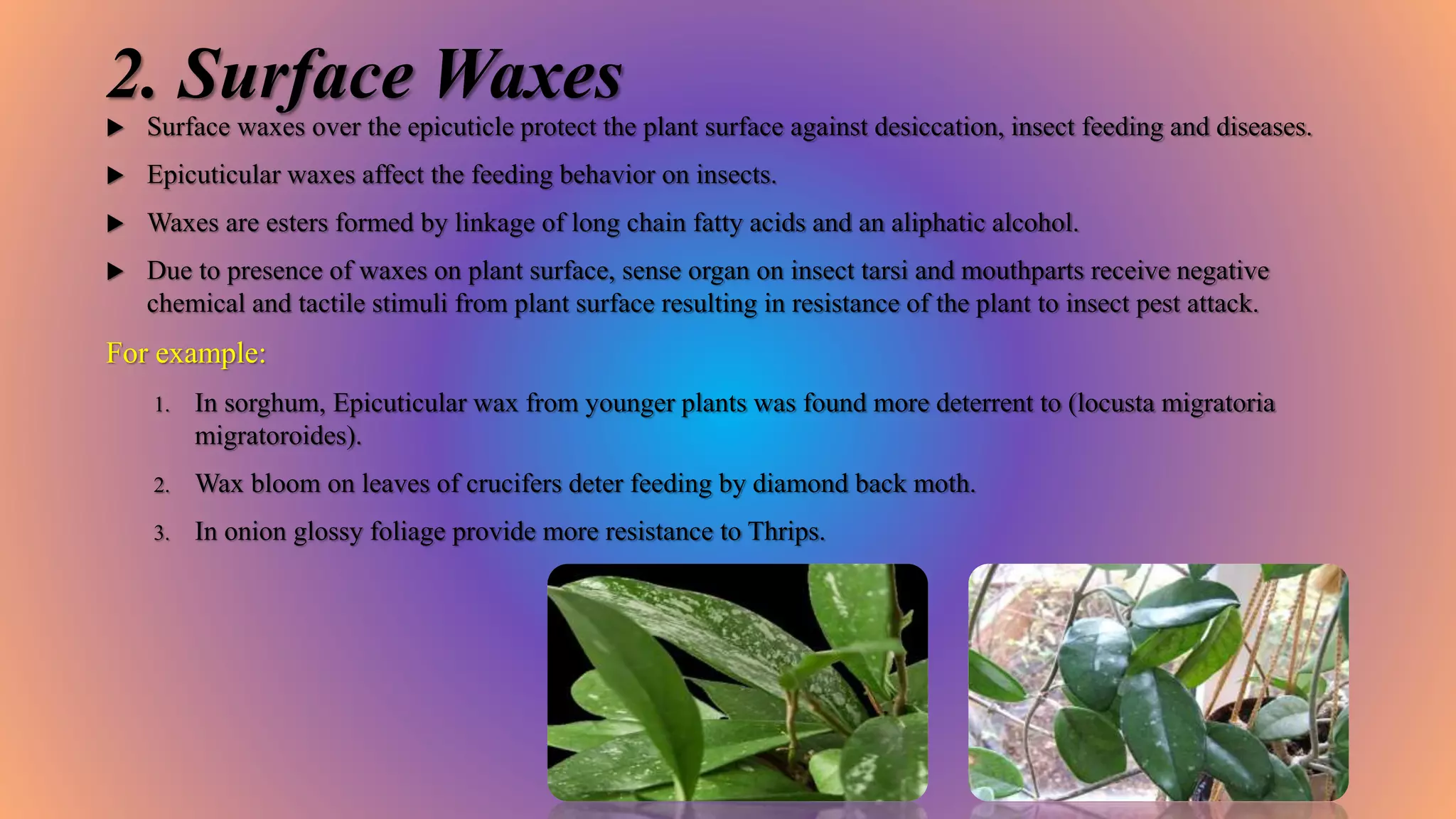 what is Antixenosis, Antibiosis, and Tolerance.pptx