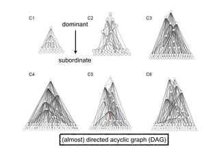 Global network structure of dominance hierarchy of ant workersAntnet ...
