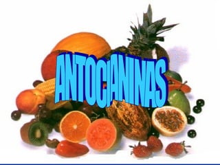 Antocianinas | PPT