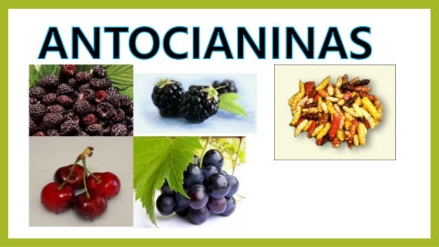 Antocianinas