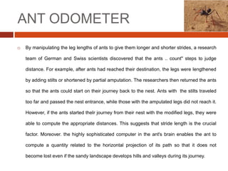 Ant odometer | PPTX