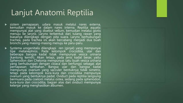 STRUKTUR PERKEMBANGAN DAN ANTOMI VERTEBRATA.pptx