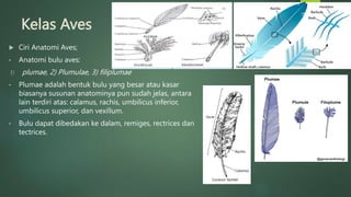 STRUKTUR PERKEMBANGAN DAN ANTOMI VERTEBRATA.pptx