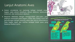 STRUKTUR PERKEMBANGAN DAN ANTOMI VERTEBRATA.pptx