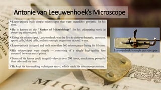 Antonie van Leeuwenhoek- Father of Microbiology | PPTX