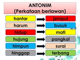 Antonim | PPTX