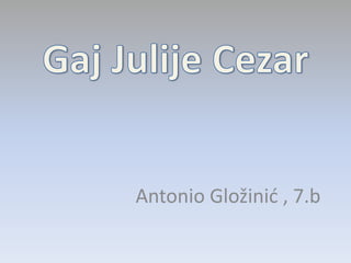 Gaj Julije Cezar | PPTX