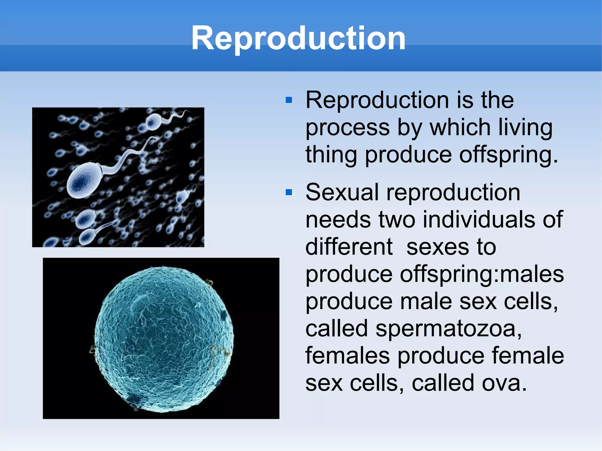 Reproduction | ODP
