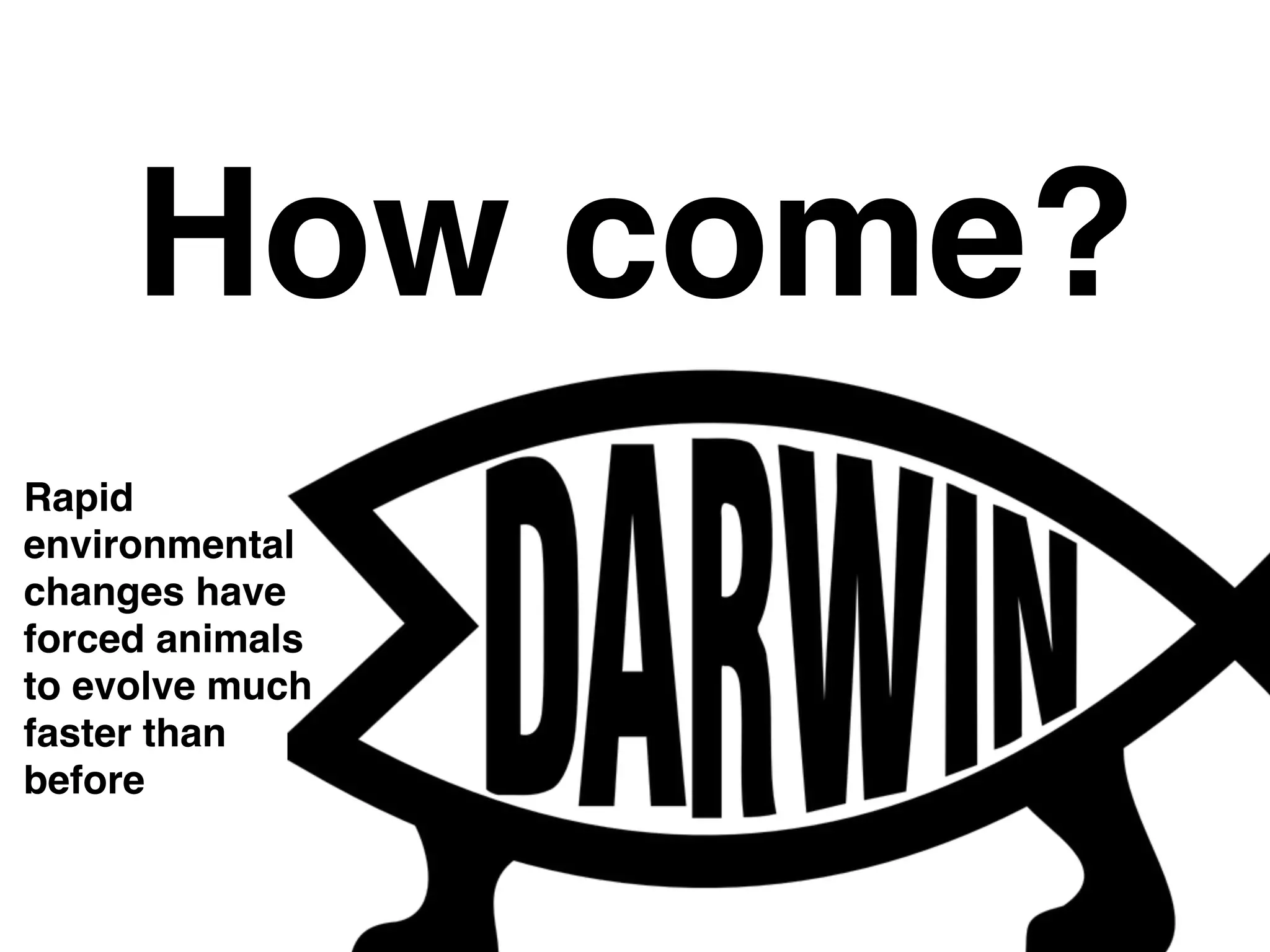 Rapid Evolution, by Anton Lennikov | PPT