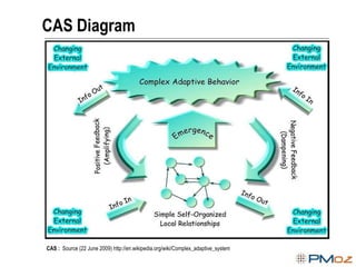 Anton Rossouw Pmoz 2009 Adaptive Project Management | PDF