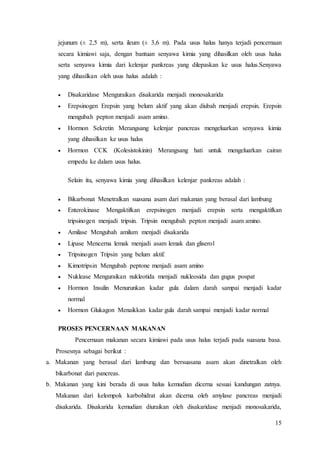 RPP Sistem Pencernaan Manusia Kelas 8 VIII SMP | DOCX