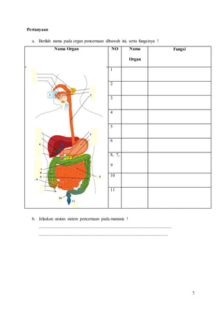 RPP Sistem Pencernaan Manusia Kelas 8 VIII SMP | DOCX