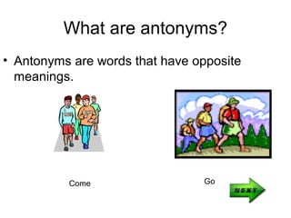 Antonyms | PPT