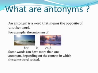Antonyms | PPTX